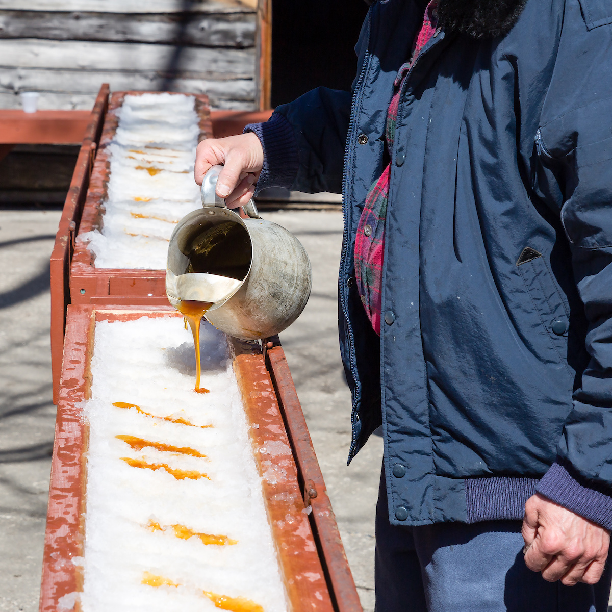 Maine Maple Weekend 2025: Where to Go and What to Do