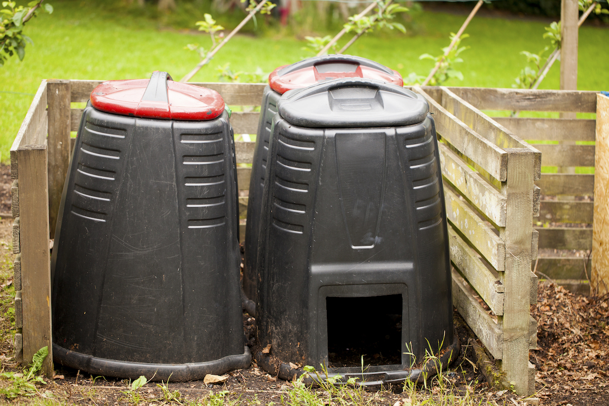 Home Composting for Beginners