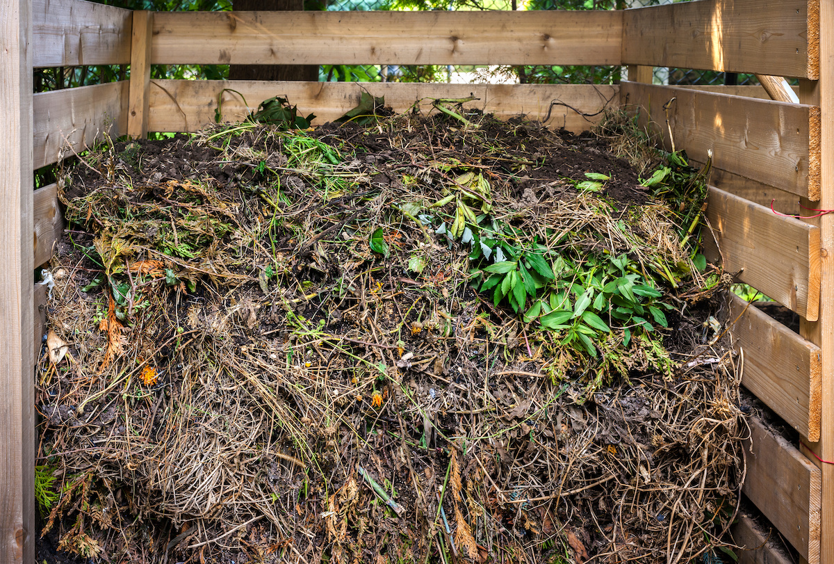 Home Composting for Beginners