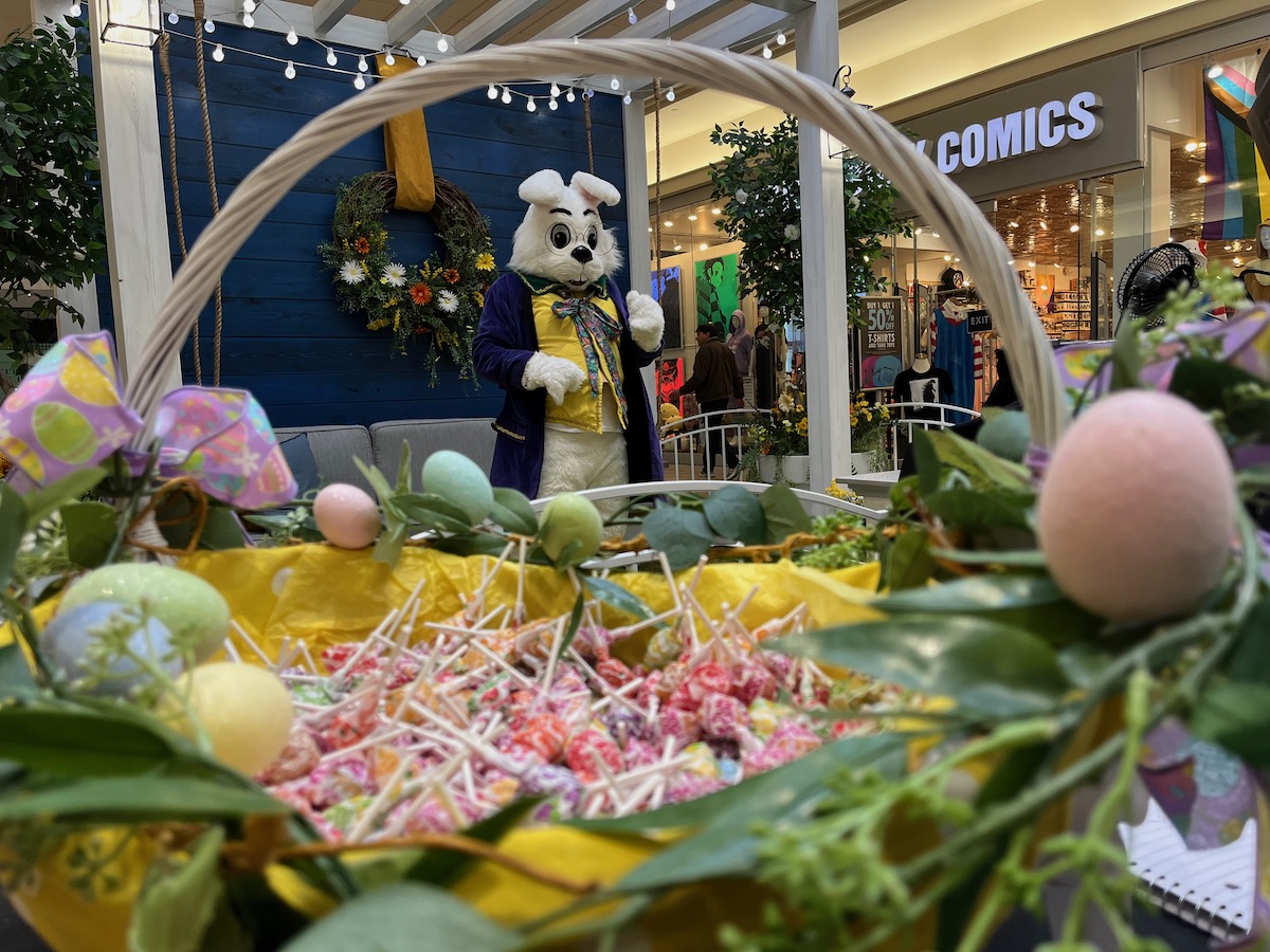 2025 Easter Bunny Pictures at the Maine Mall Plus Coupon for Freebie