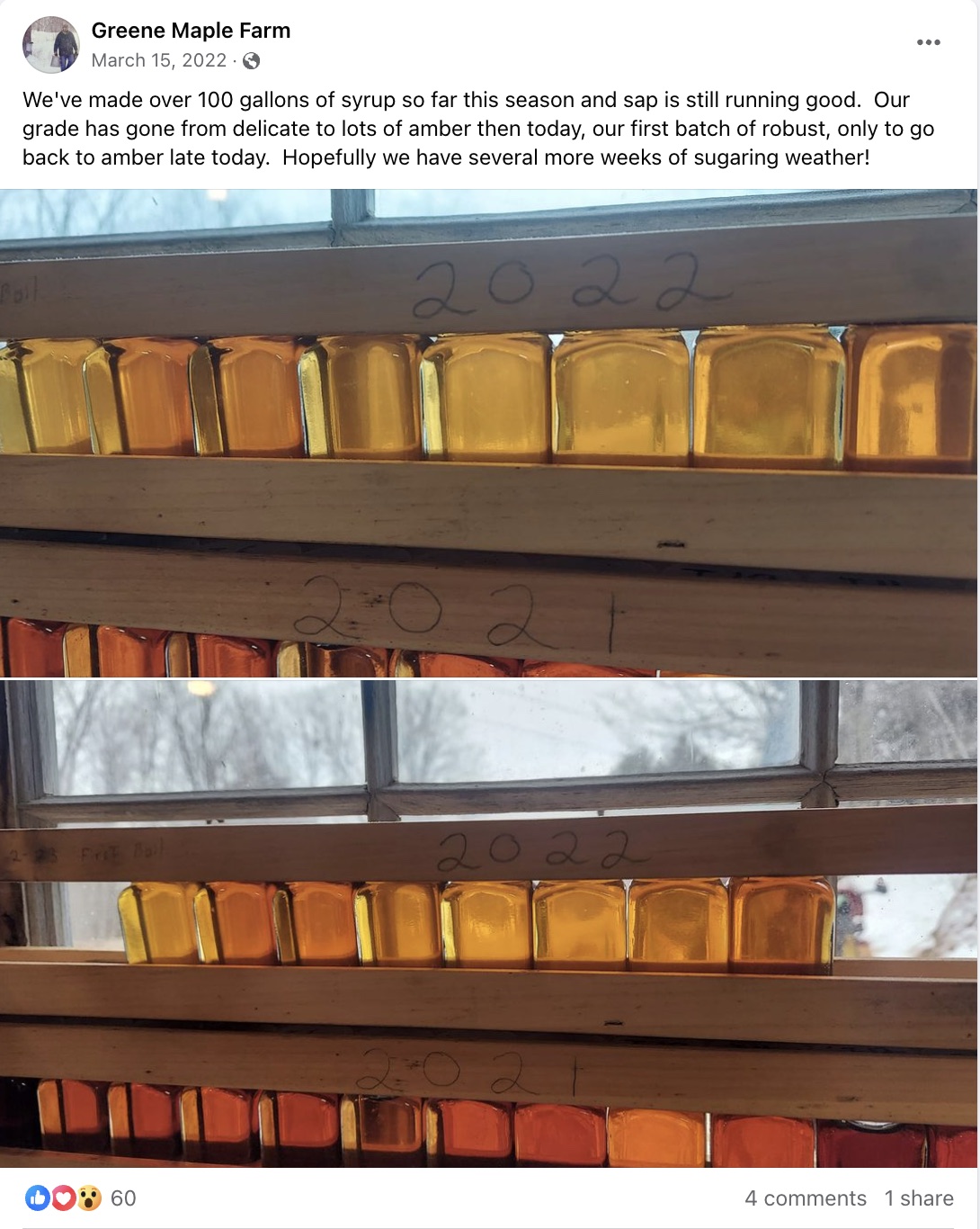 Understanding Maple Syrup Grades