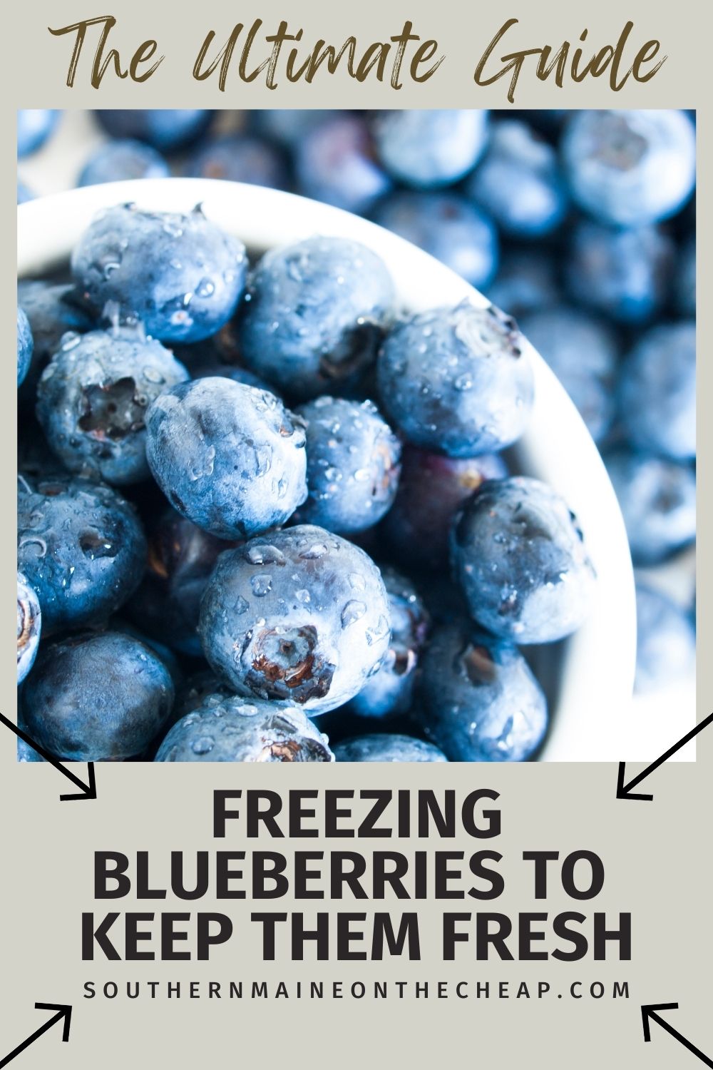 How to Freeze Fresh Blueberries