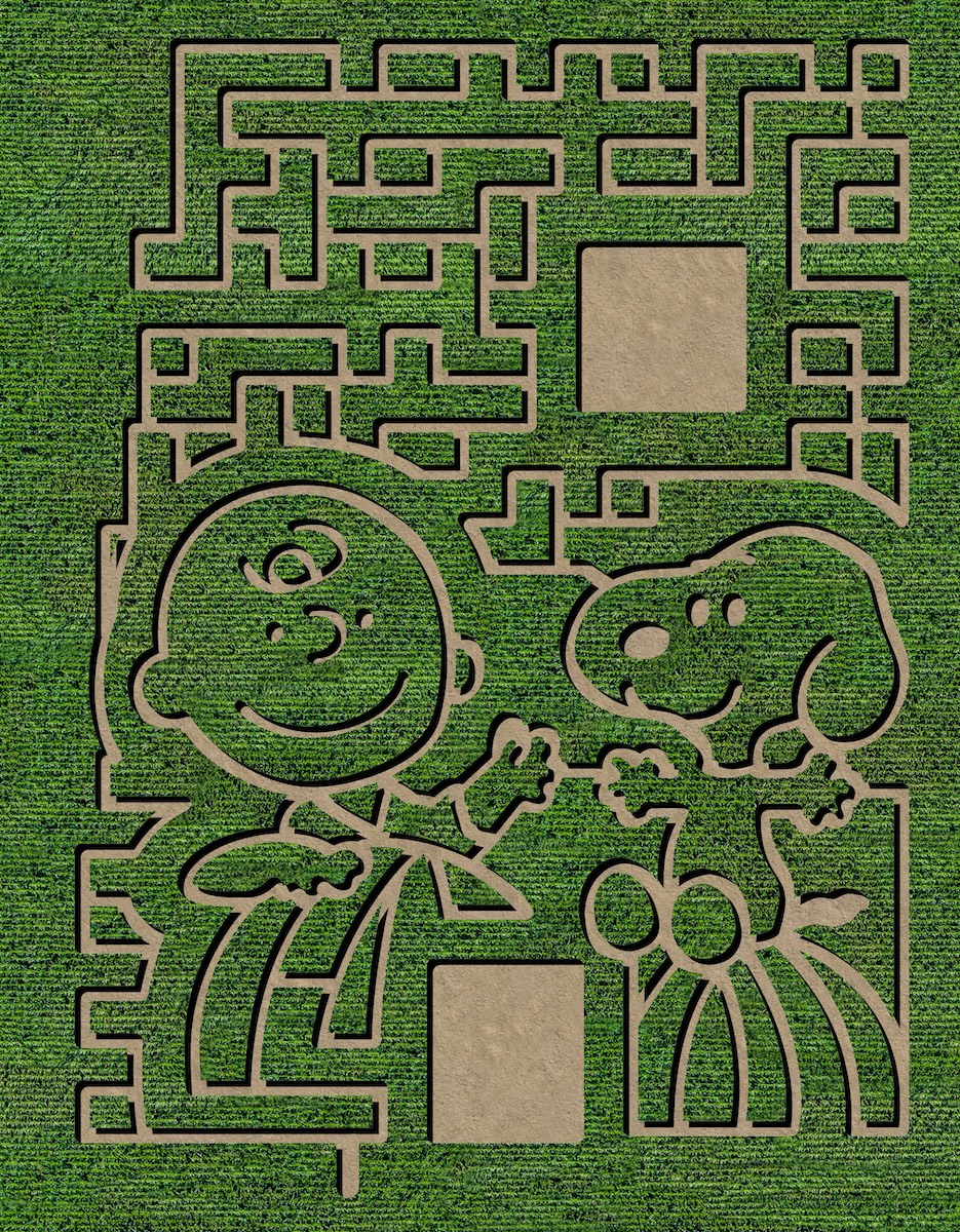 Peanuts Themed Corn Mazes For Fall