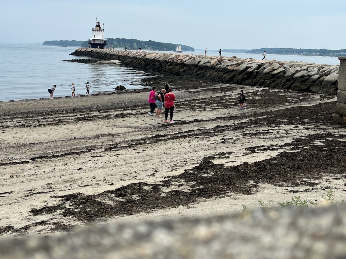 Maine Open Lighthouse Day